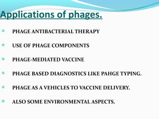 Bacteriophage | PPT