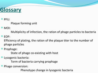 Bacteriophage | PPT