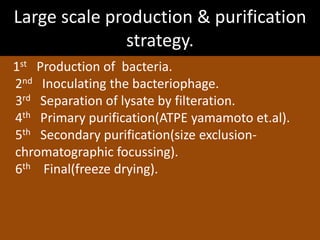 Bacteriophage | PPTX