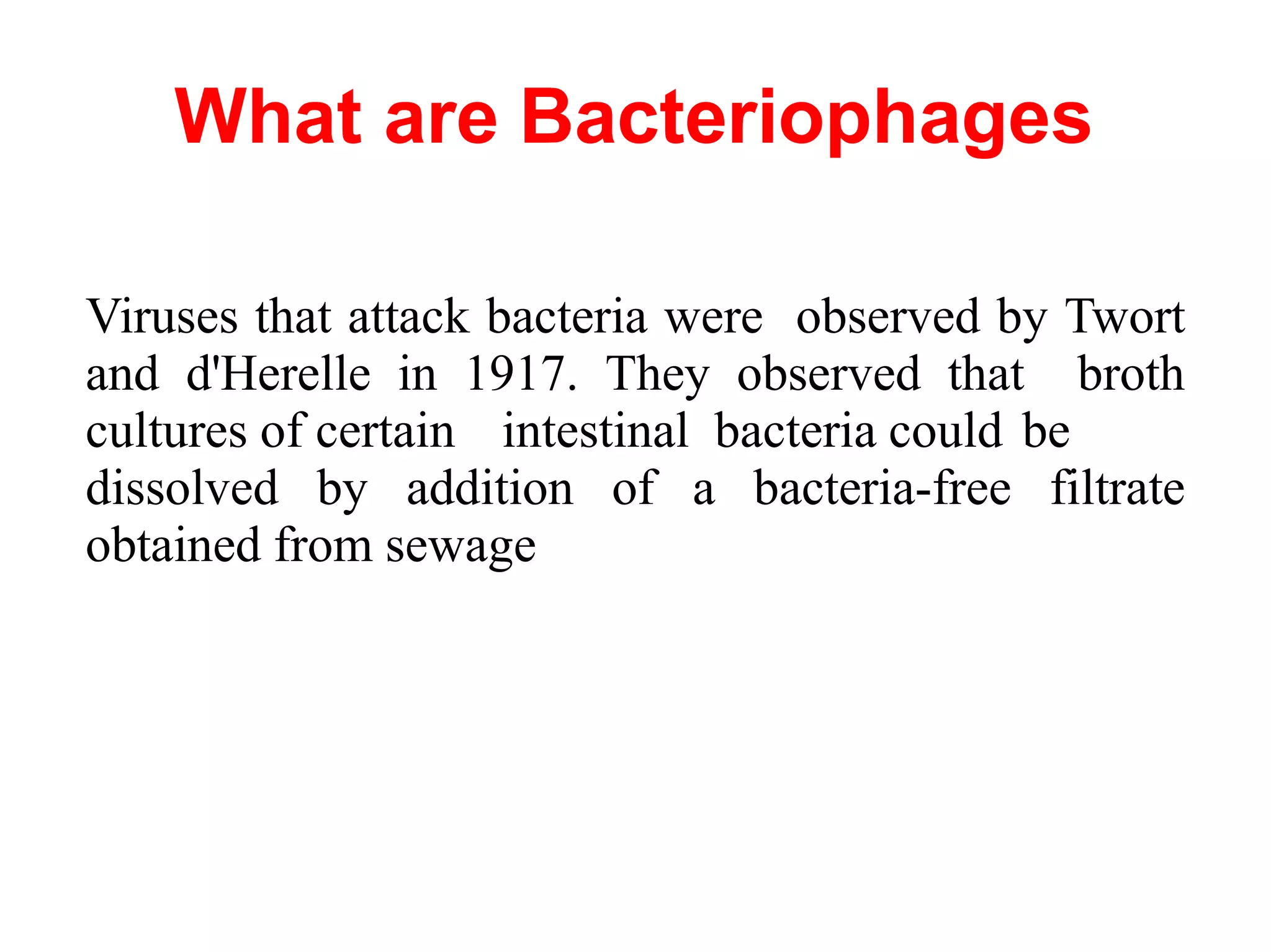 Bacteriophage | PPTX | Infectious Diseases | Diseases and Conditions