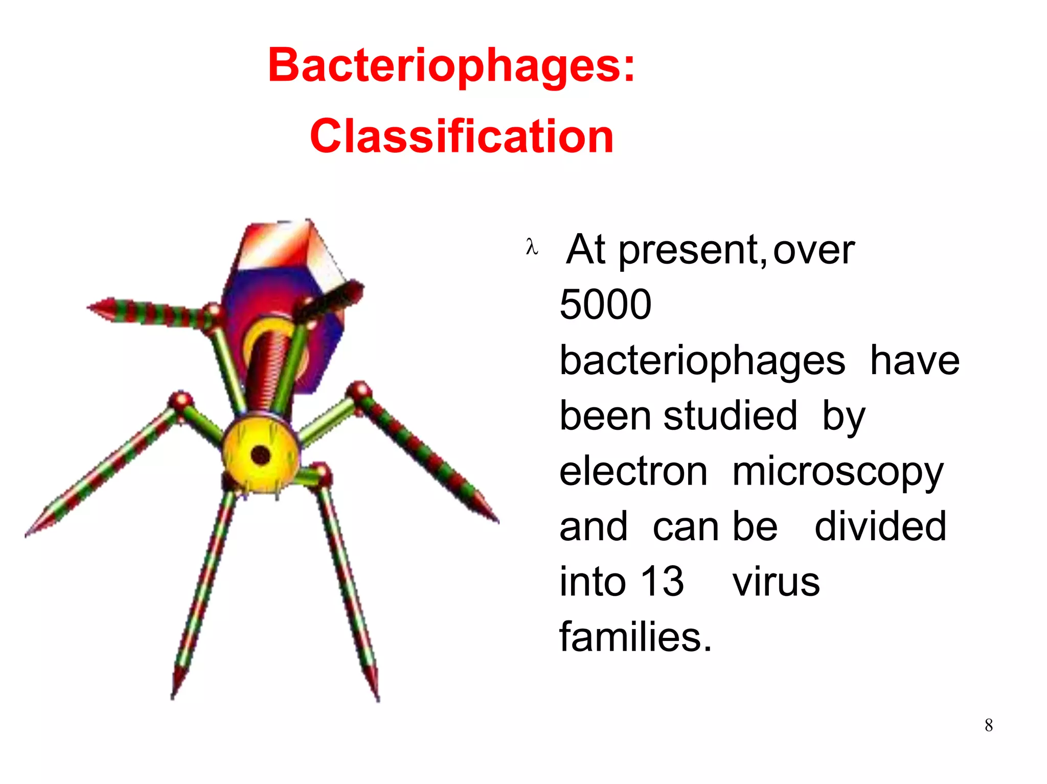 Bacteriophage | PPTX | Infectious Diseases | Diseases and Conditions