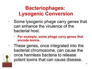 Bacteriophage | PPTX | Infectious Diseases | Diseases and Conditions