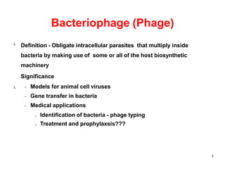 Bacteriophage | PPTX | Infectious Diseases | Diseases and Conditions