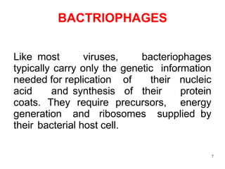 Bacteriophage | PPTX | Infectious Diseases | Diseases and Conditions