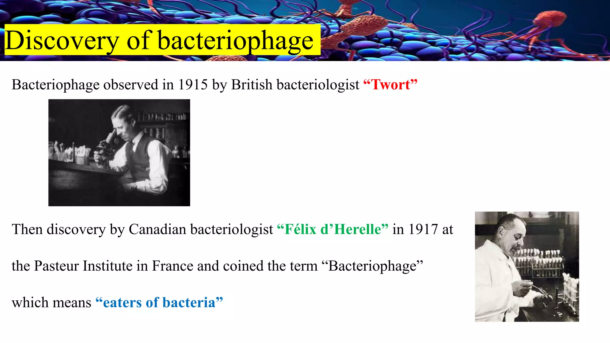 Bacteriophage | PPTX