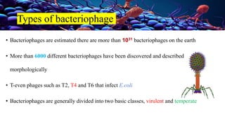 Bacteriophage | PPTX