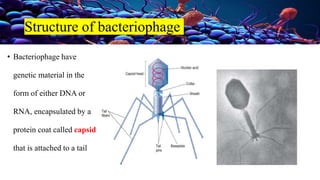 Bacteriophage | PPTX