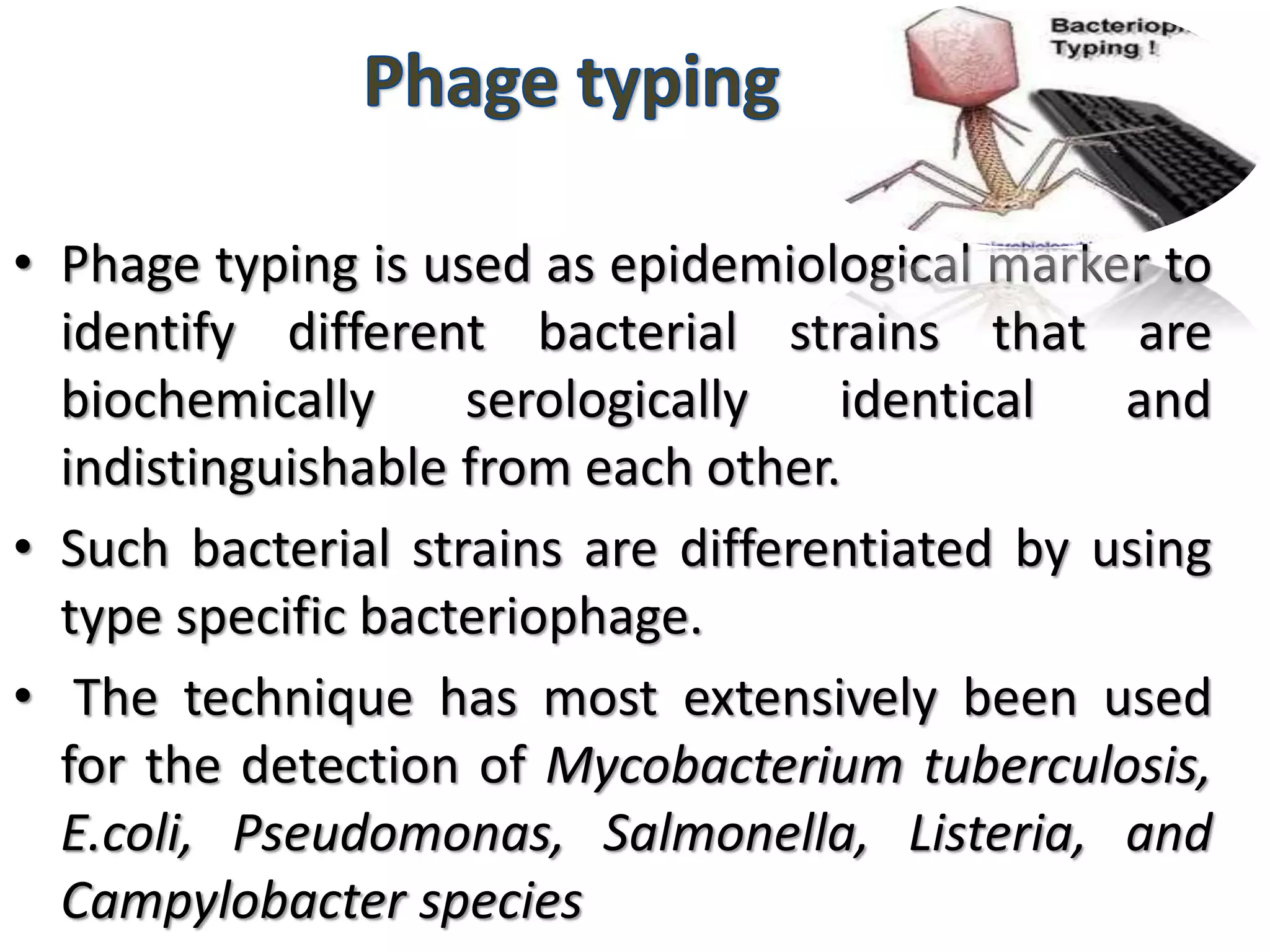 bacteriophage.ppt