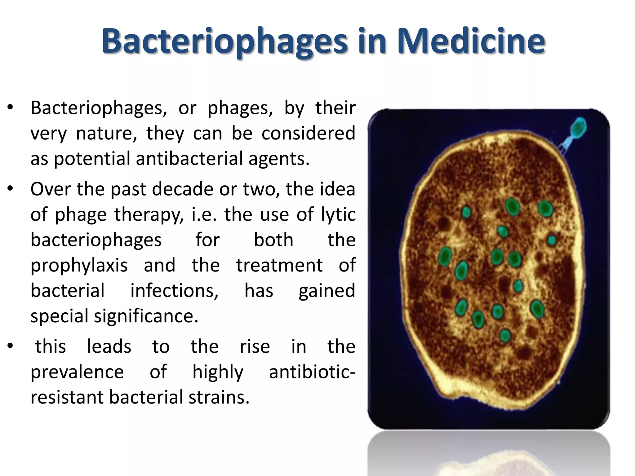 bacteriophage.ppt