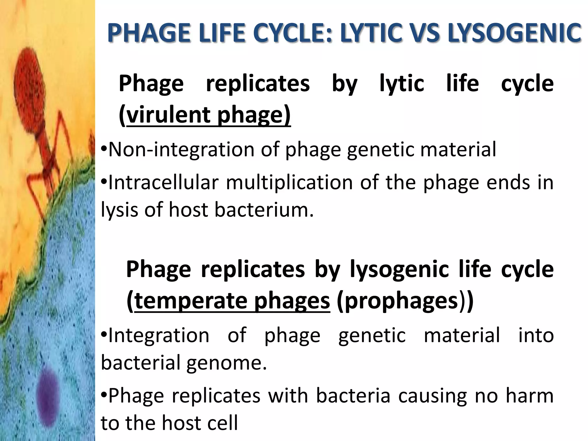 bacteriophage.ppt