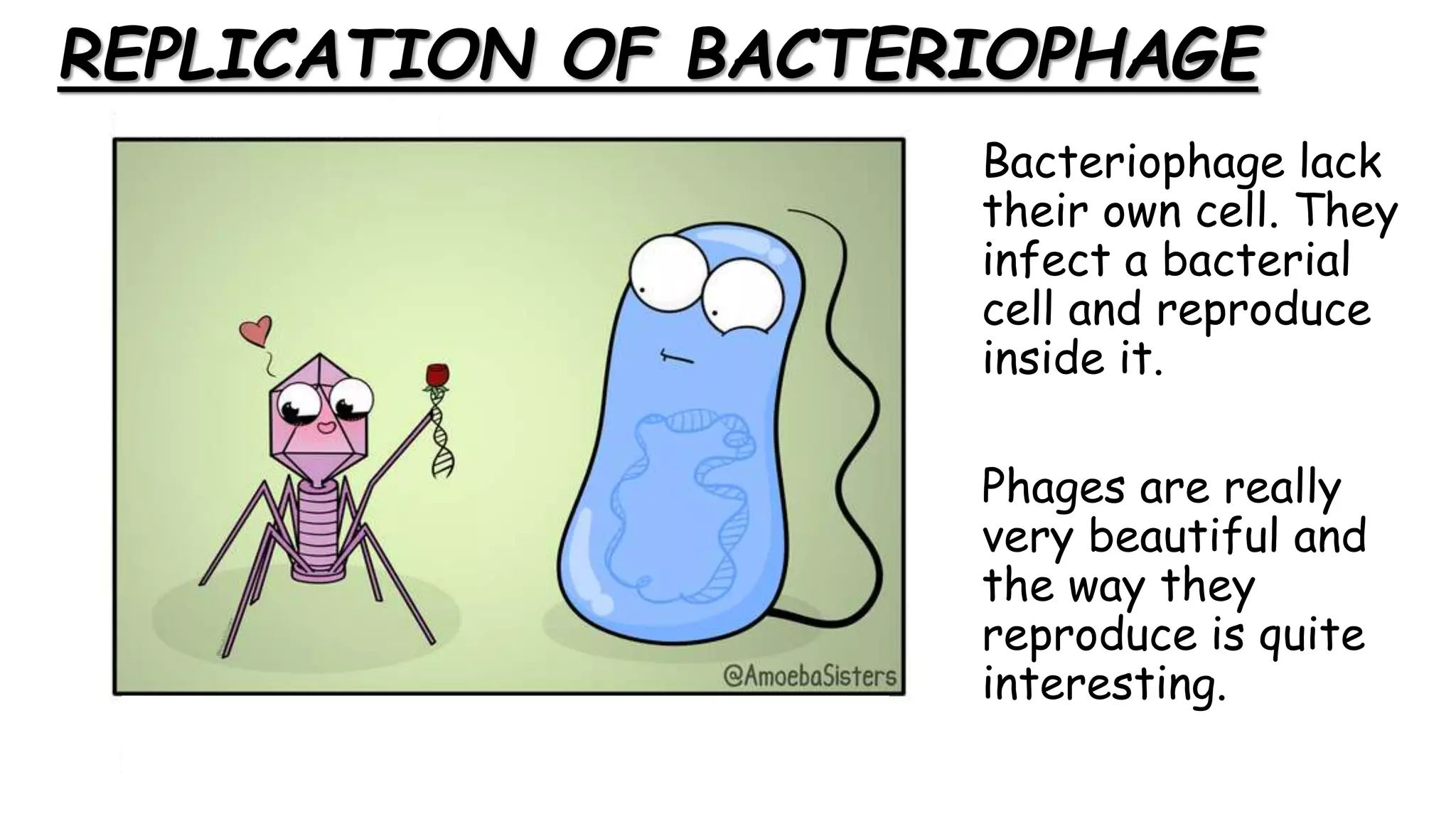 BACTERIOPHAGE.pptx