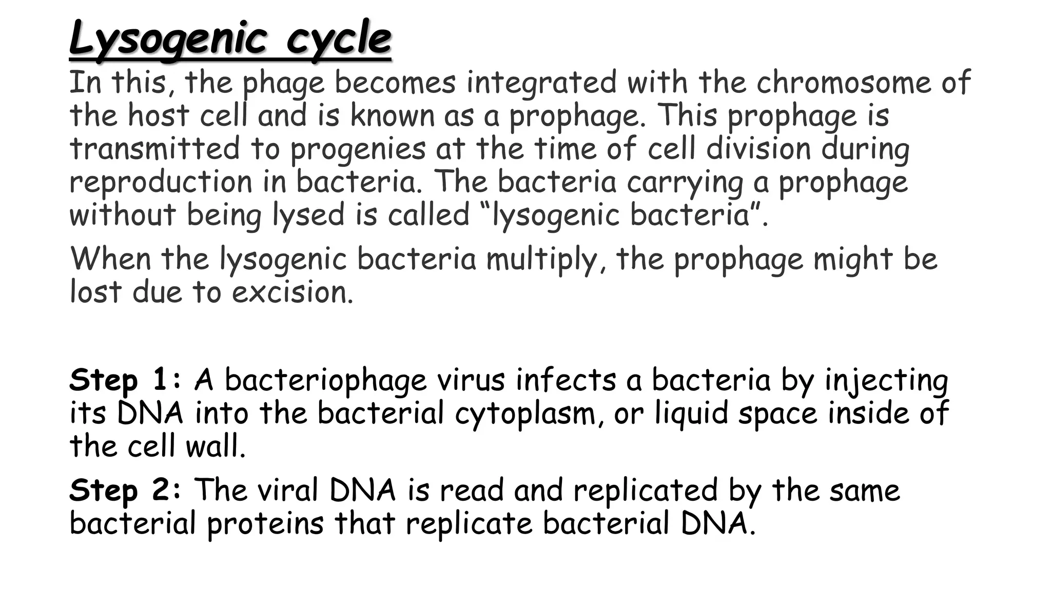 BACTERIOPHAGE.pptx