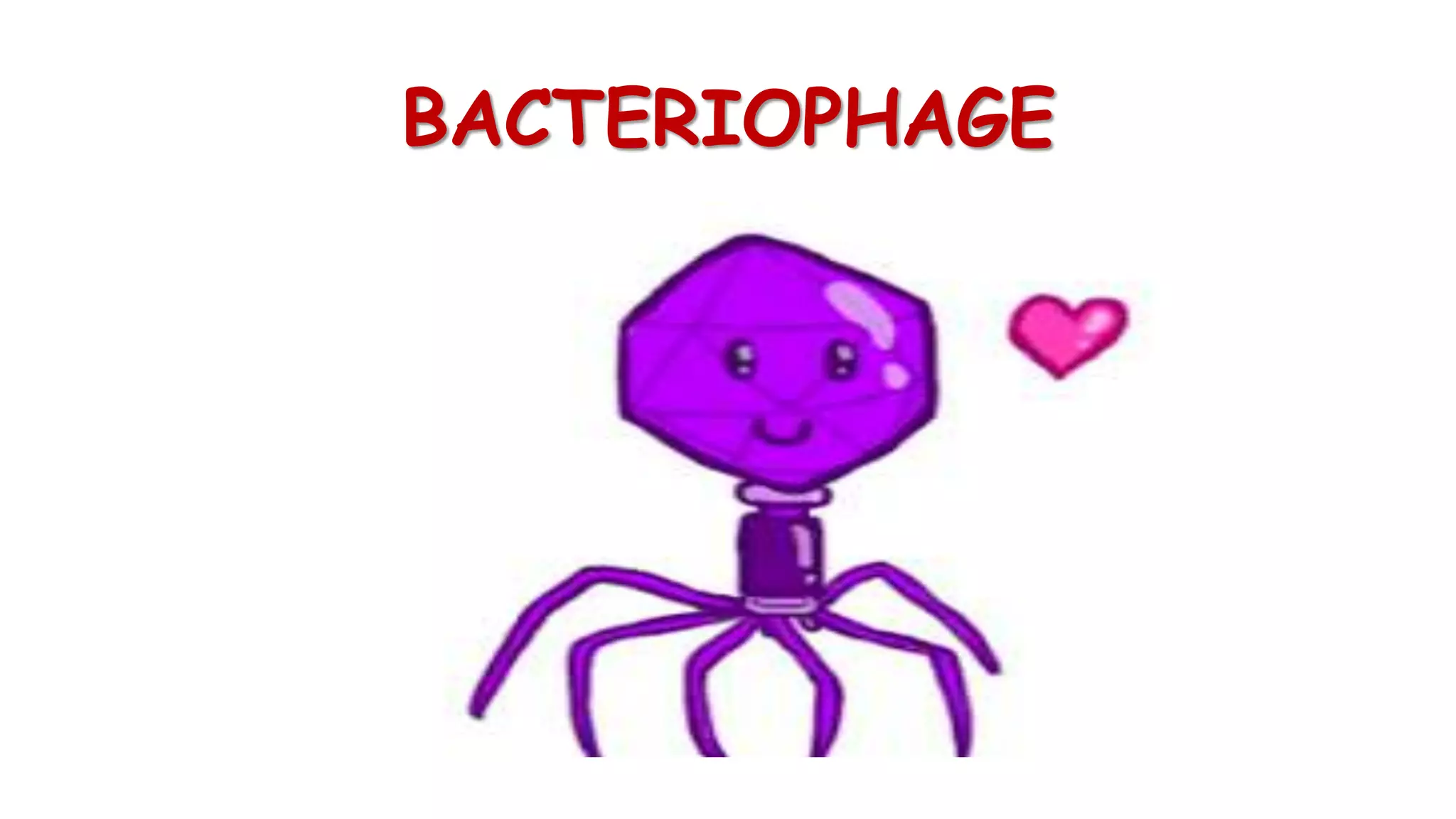 BACTERIOPHAGE.pptx