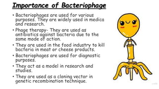 BACTERIOPHAGE.pptx
