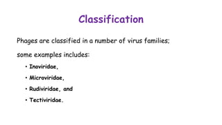 Bacteriophage.pptx