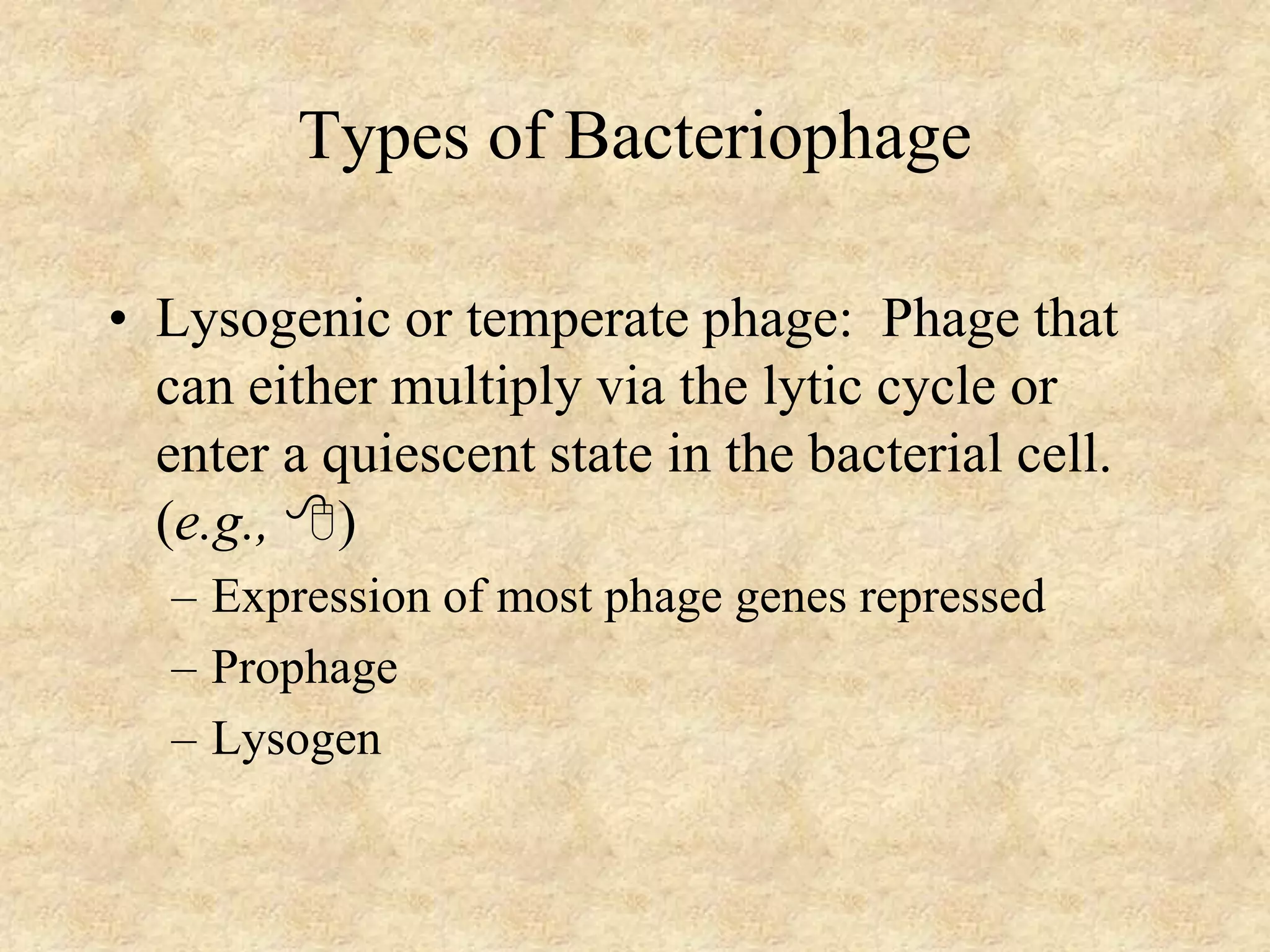 BACTERIOPHAGE.ppt
