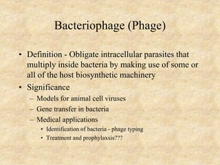 BACTERIOPHAGE.ppt