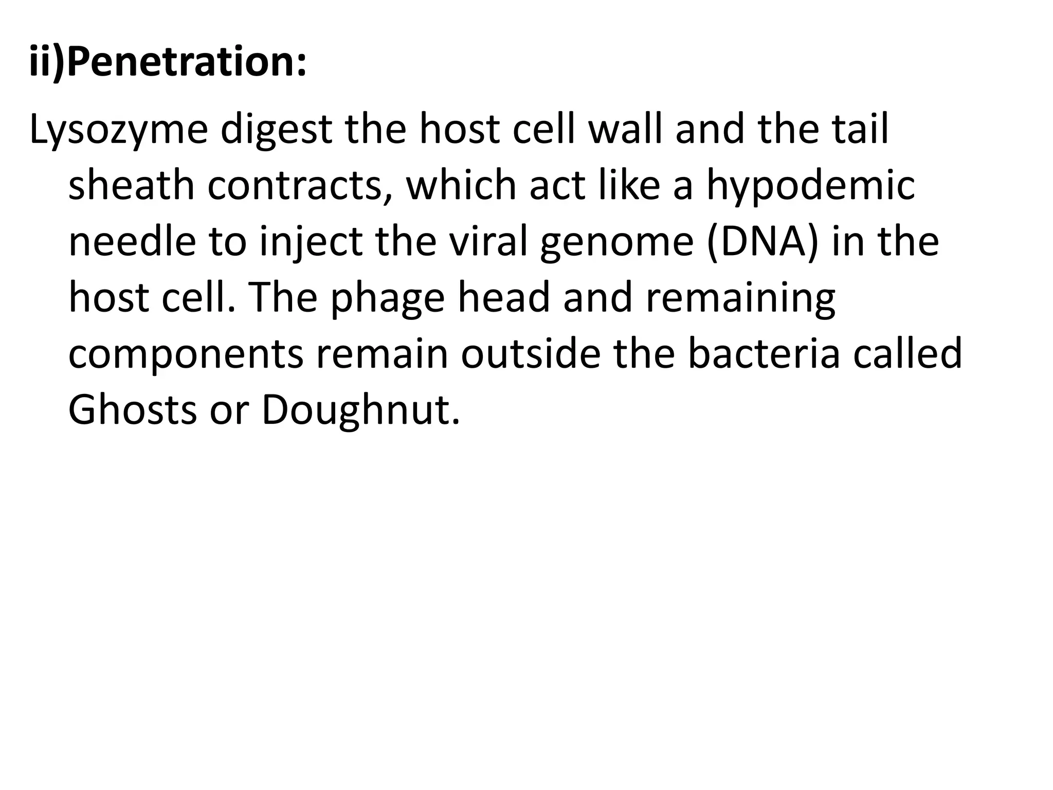 bacteriophage microbiology short notes.pptx