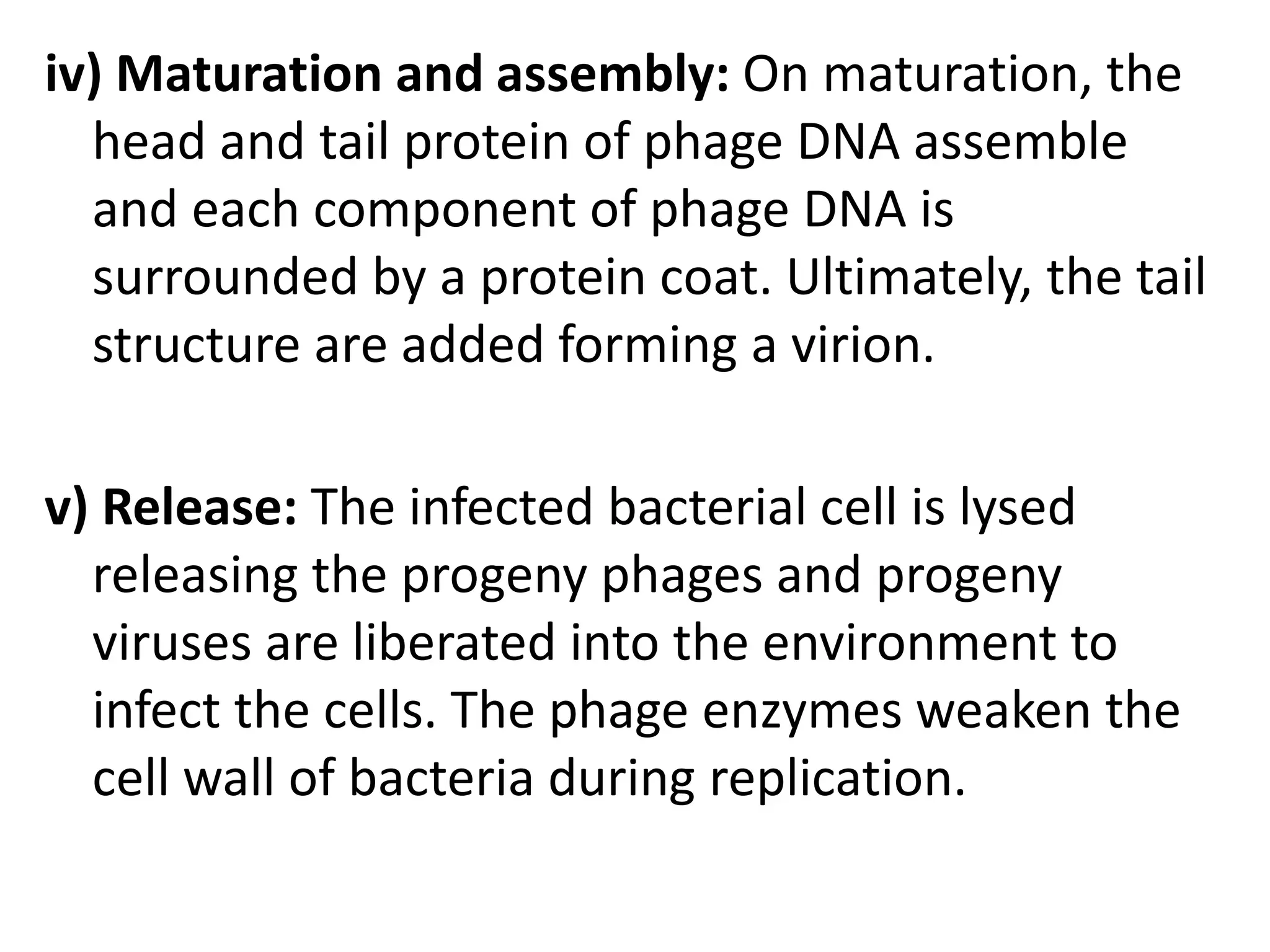 bacteriophage microbiology short notes.pptx