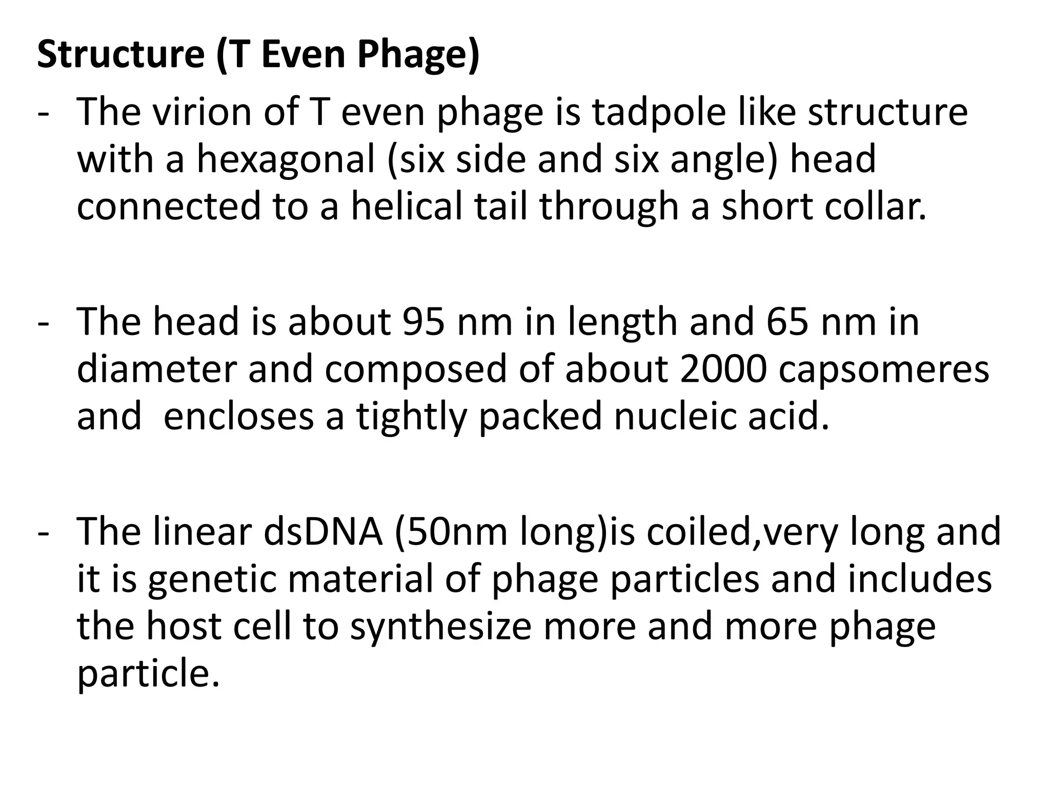 bacteriophage microbiology short notes.pptx