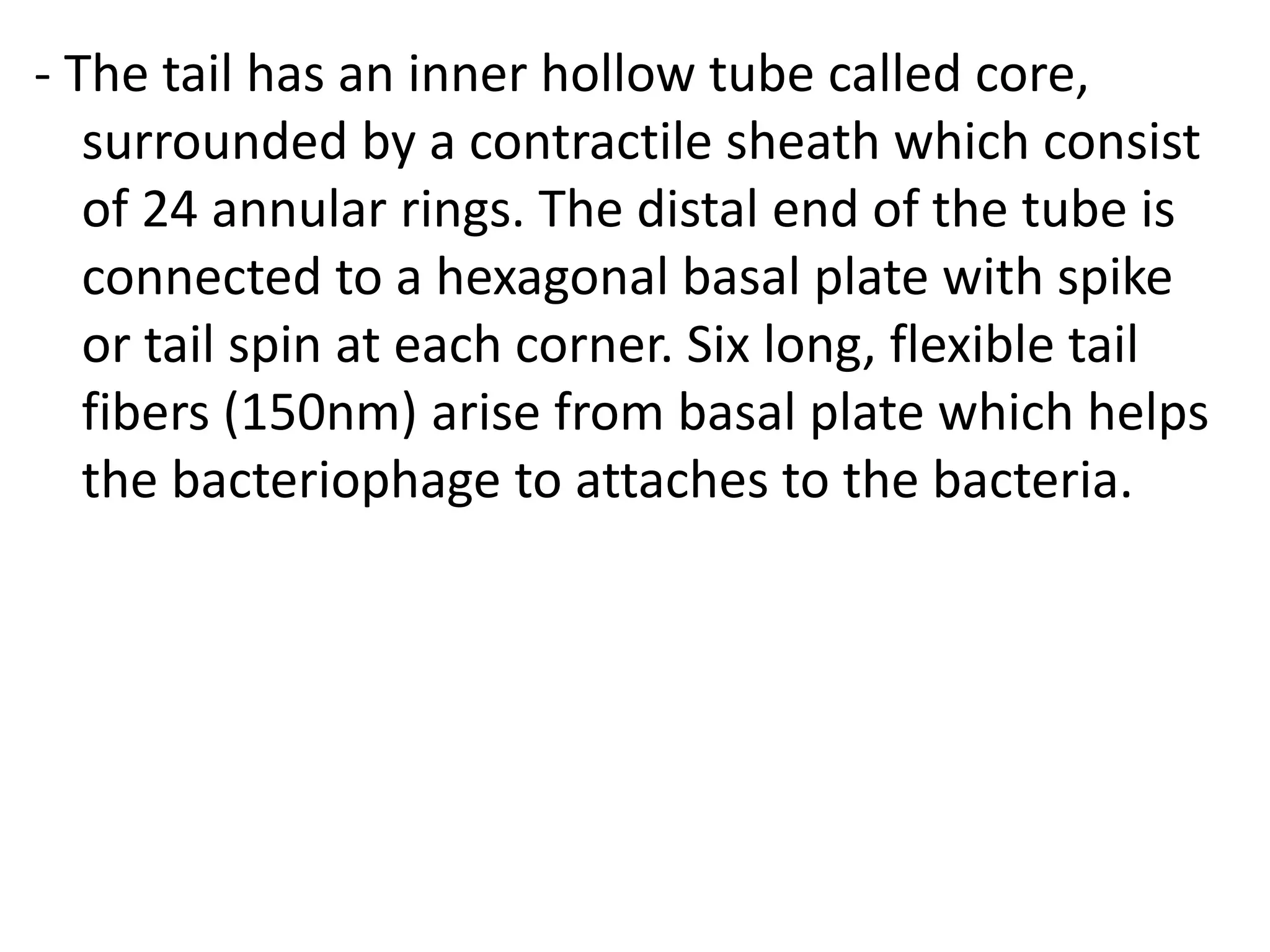 bacteriophage microbiology short notes.pptx