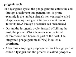 bacteriophage microbiology short notes.pptx