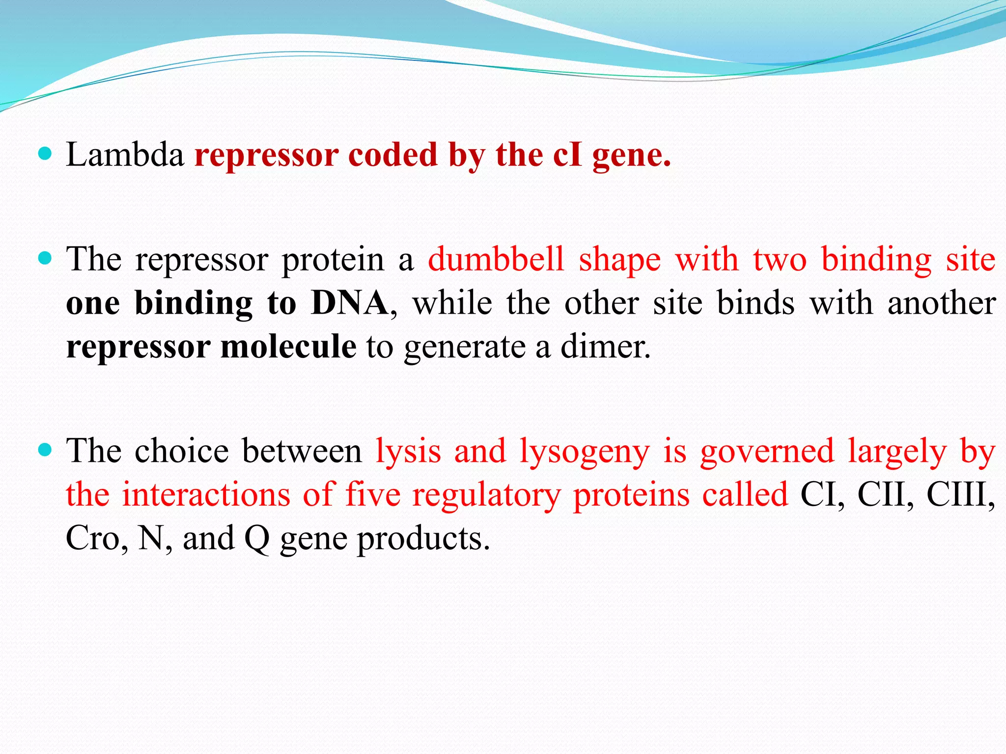 Bacteriophage and replication | PPTX