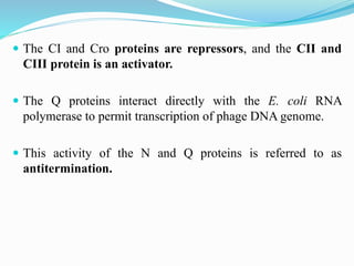 Bacteriophage and replication | PPTX