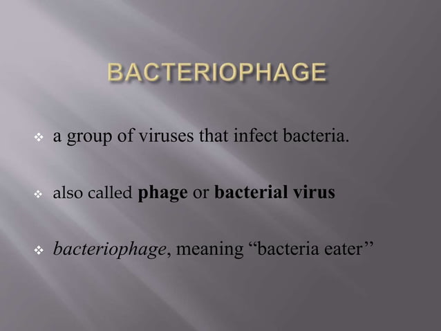 Bacteriophages and their characters | PPT