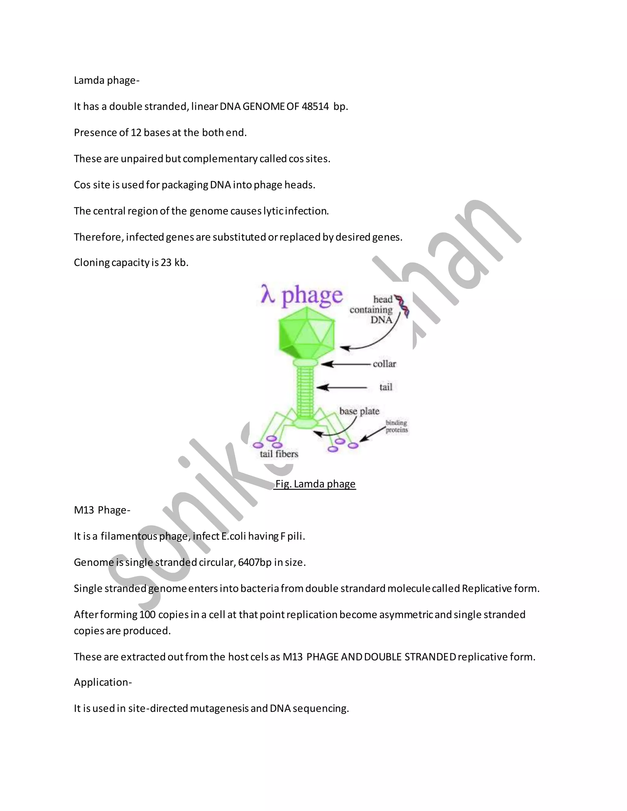 Bacteriophage based vector | DOCX