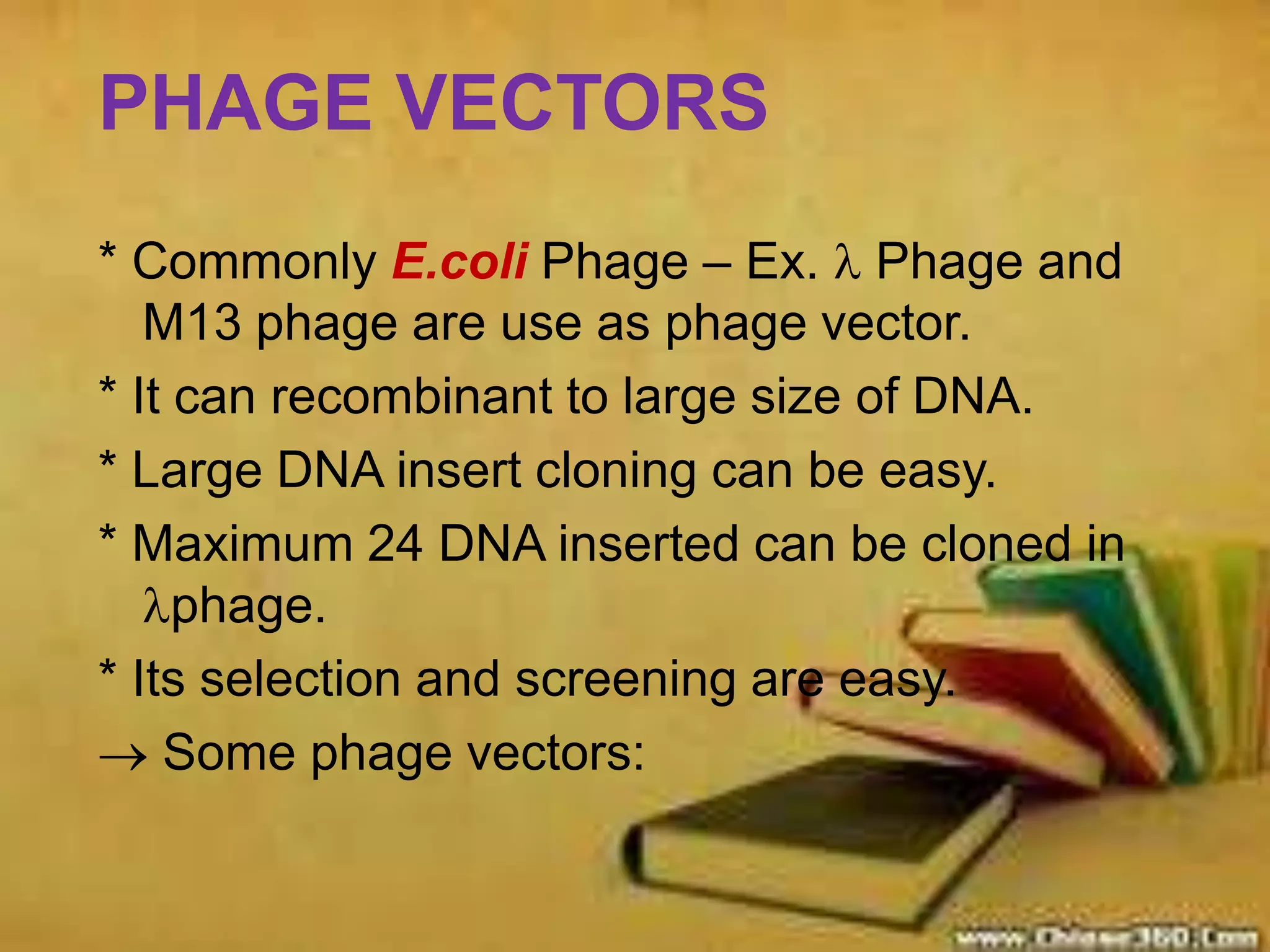 Bacteriophage by reshma | PPTX