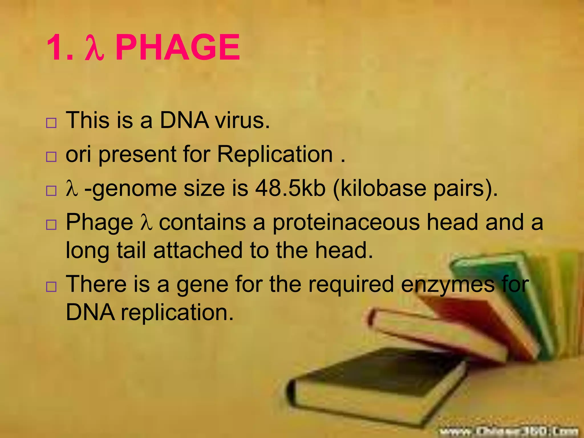 Bacteriophage by reshma | PPTX