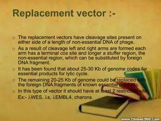 Bacteriophage by reshma | PPTX