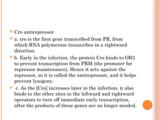 BACTERIOPHAGE CLONING VECTORS notes .pptx