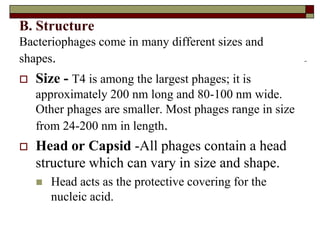 Bacteriophage, phage typing and application | PPTX