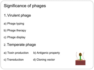 Bacteriophage | PPT