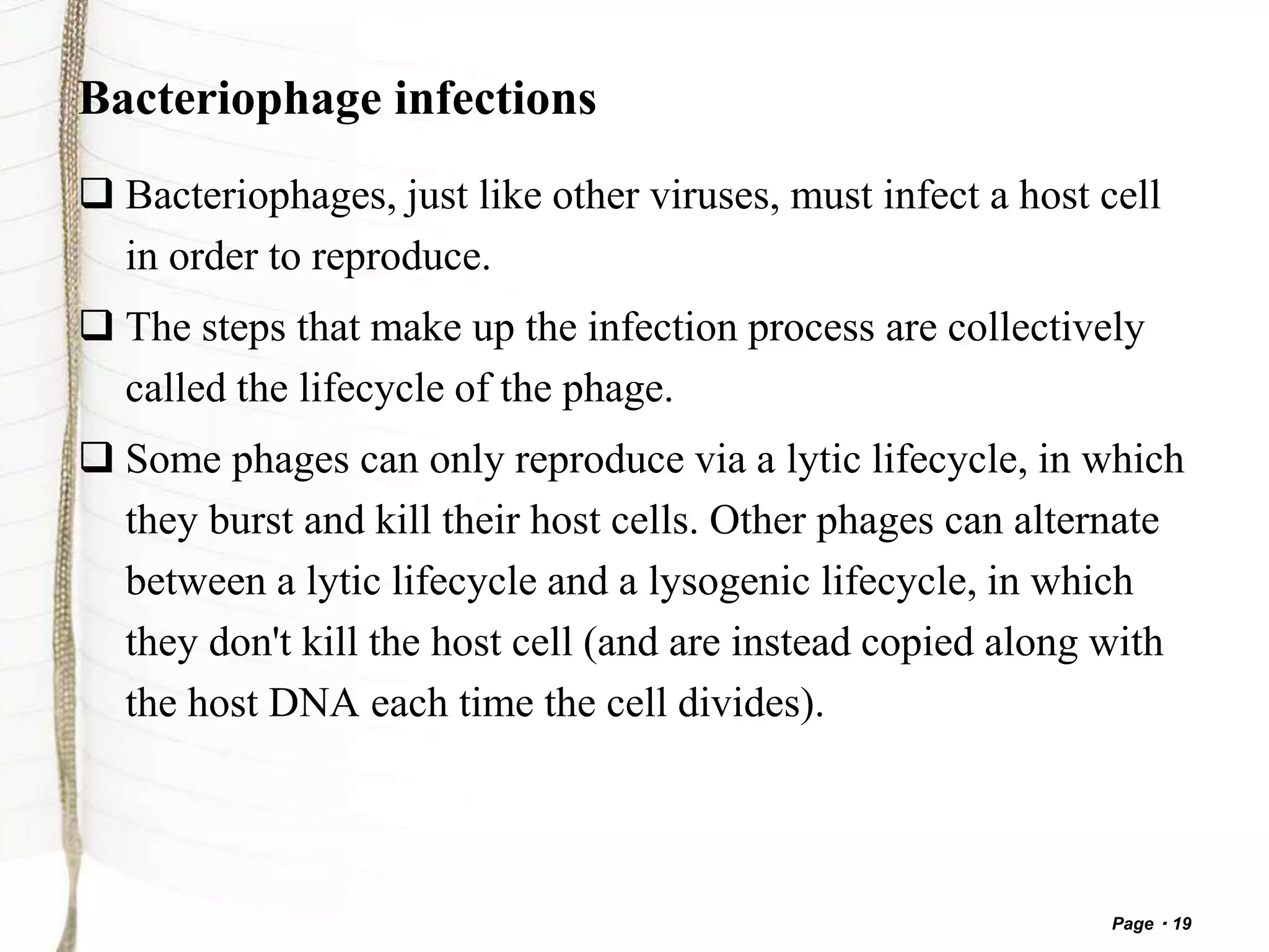 Bacteriophages | PPTX