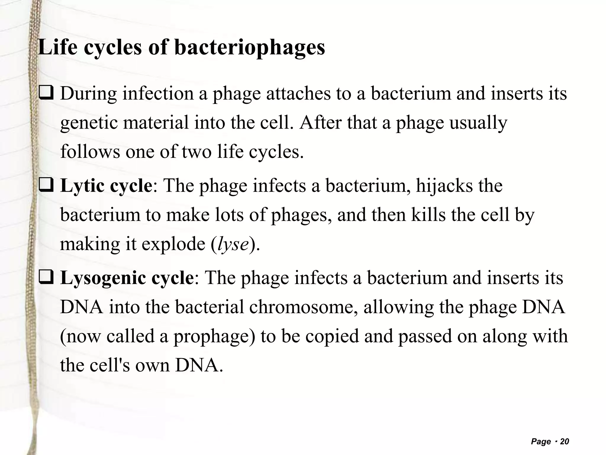 Bacteriophages | PPTX