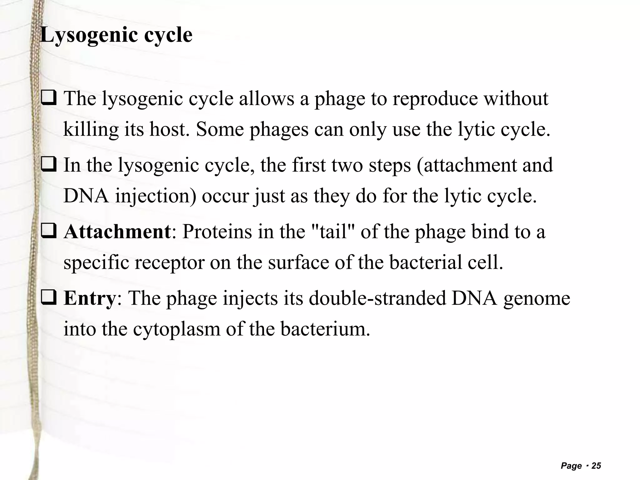 Bacteriophages | PPTX