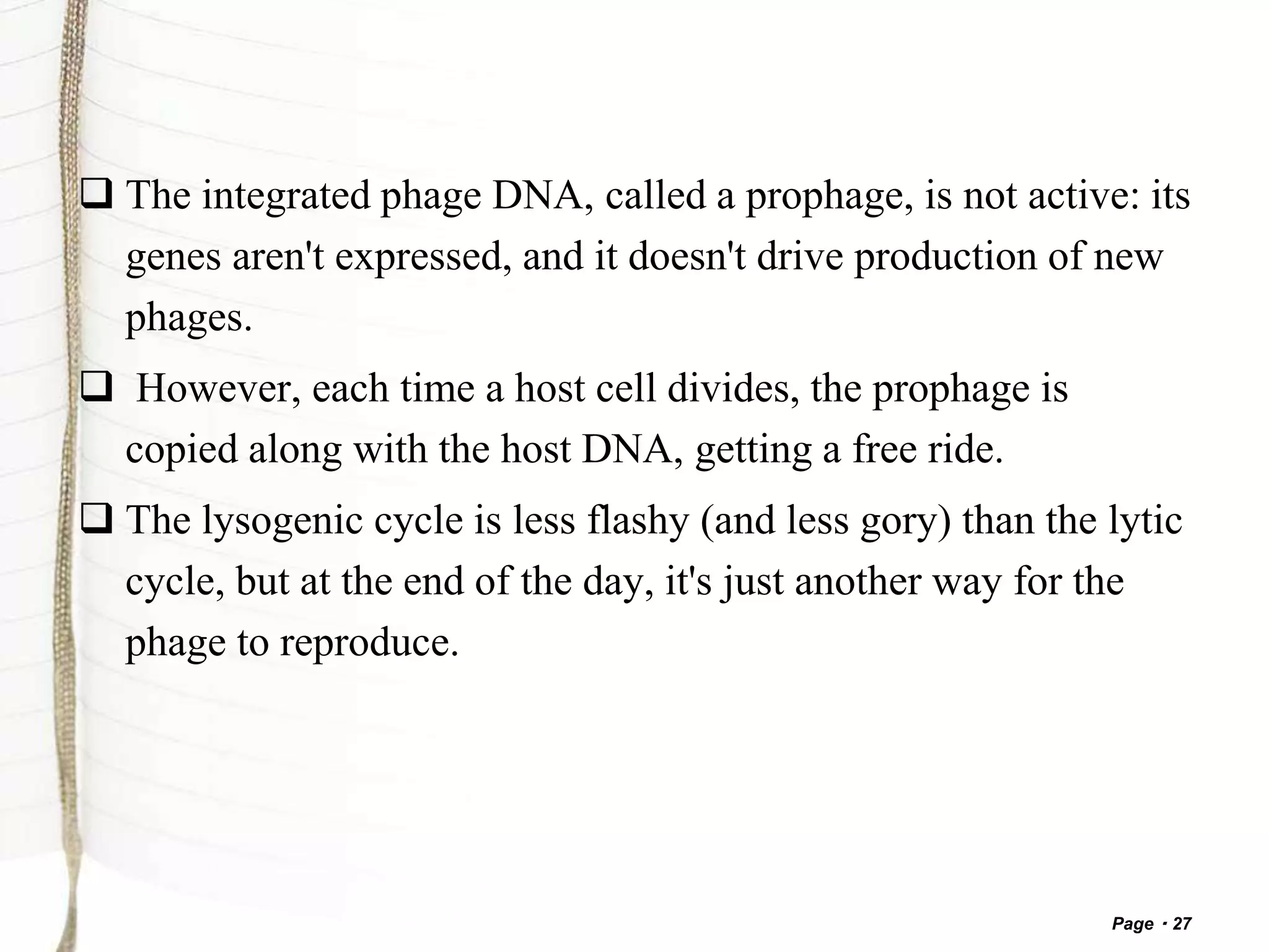 Bacteriophages | PPTX