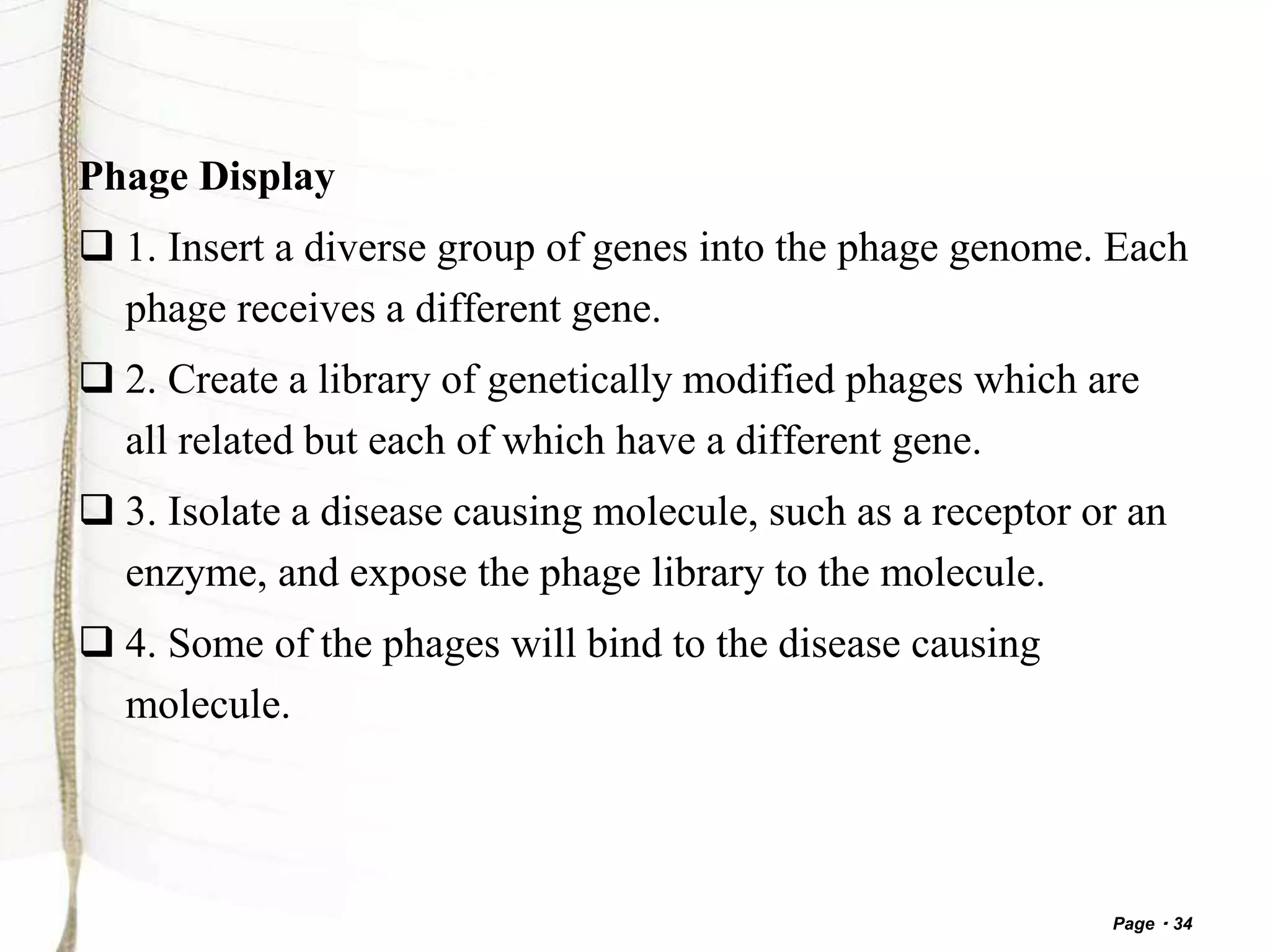 Bacteriophages | PPTX