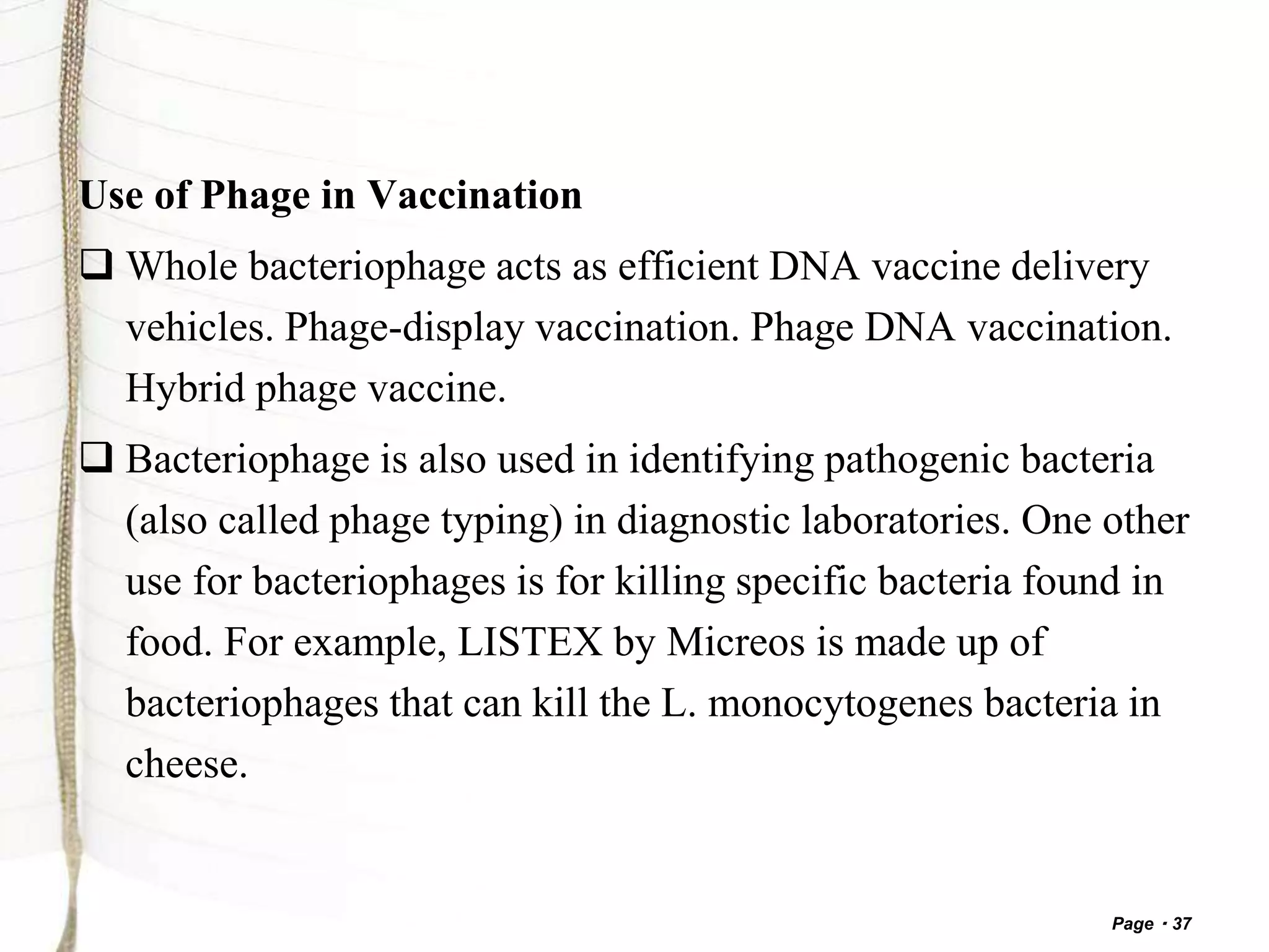 Bacteriophages | PPTX