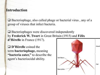 Bacteriophages | PPTX