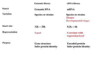 Bacteriophage biology and Lambda Phage Library Invitro Packaging | PPTX