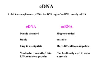 Bacteriophage biology and Lambda Phage Library Invitro Packaging | PPT