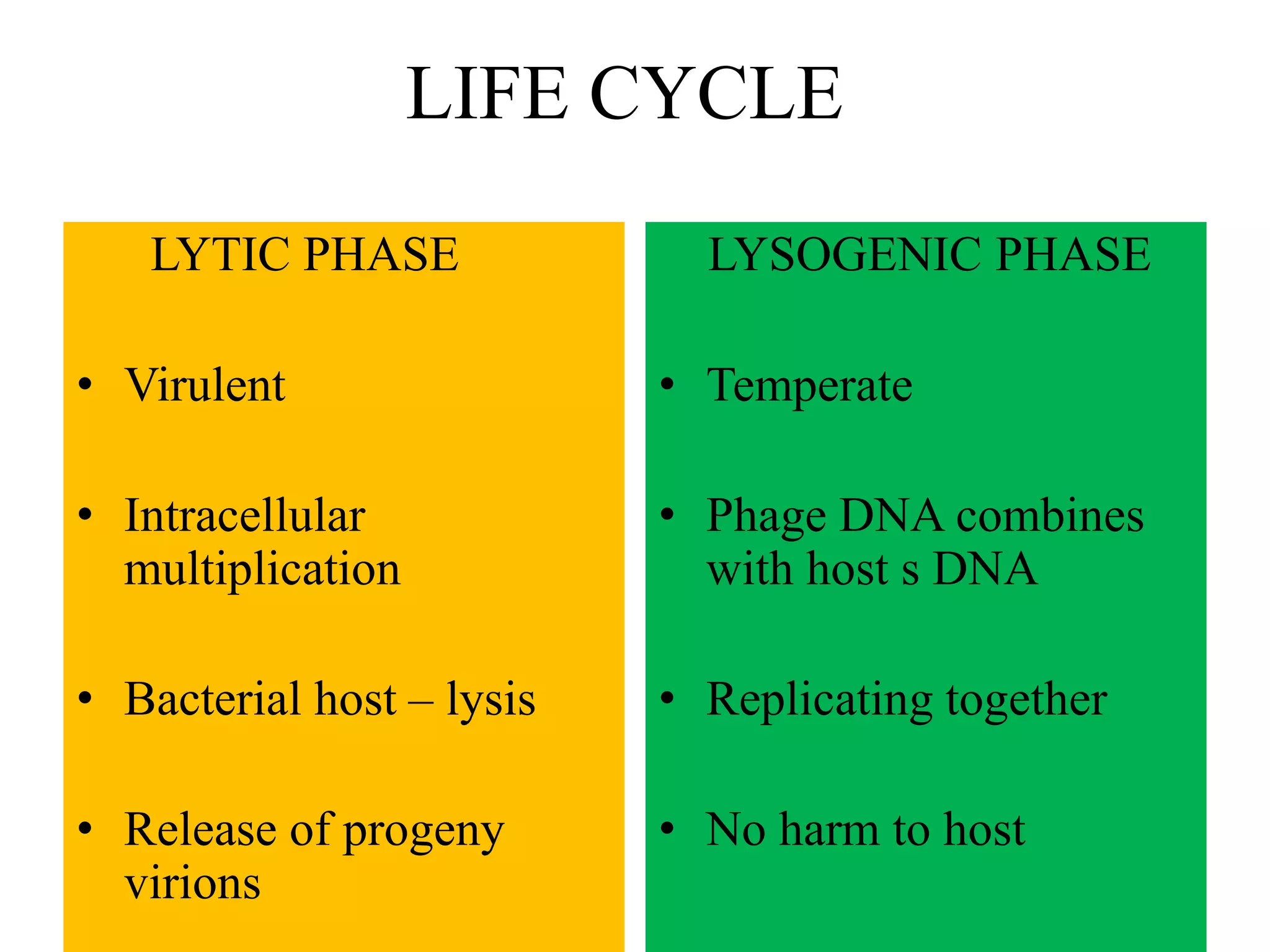 Bacteriophages and their general characteritics | PPTX