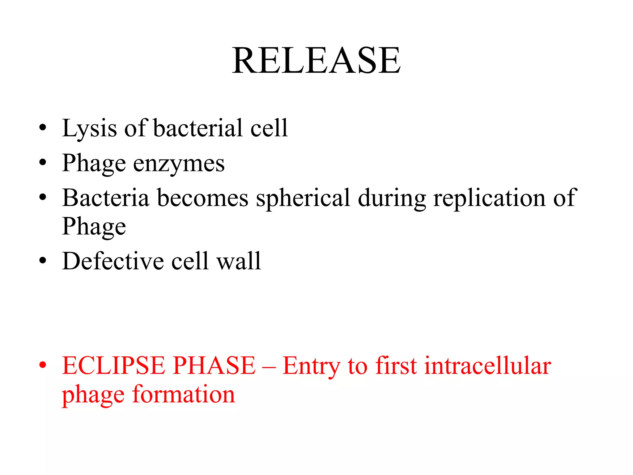 Bacteriophages and their general characteritics | PPTX