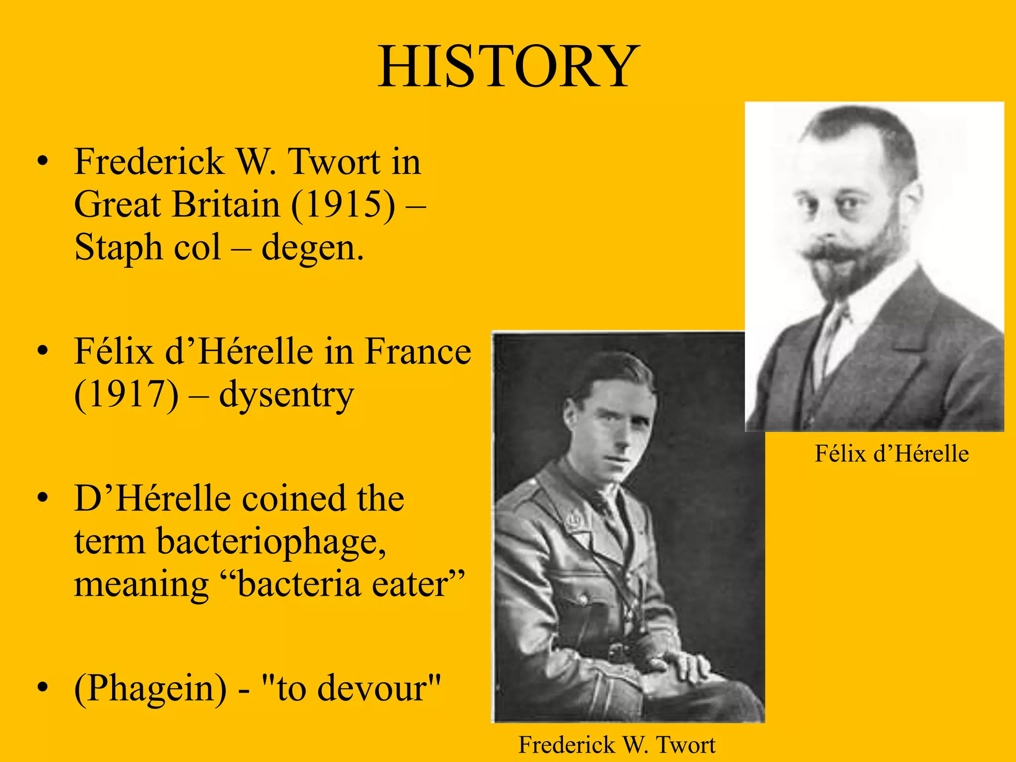 Bacteriophages and their general characteritics | PPTX