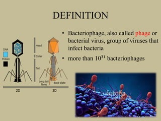 Bacteriophages and their general characteritics | PPTX