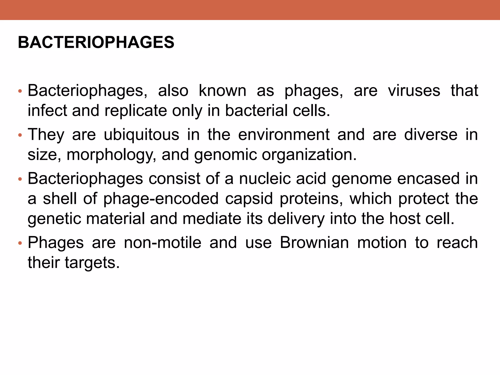 Bacteriophages | PDF